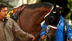 THOROUGHBRED RACING GREATS 2009 BY EQUINE PHOTO-ART