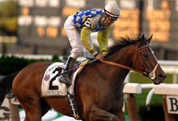 THOROUGHBRED RACING GREATS 2009 BY EQUINE PHOTO-ART