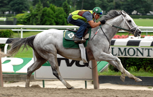 THOROUGHBRED RACING GREATS 2009 BY EQUINE PHOTO-ART