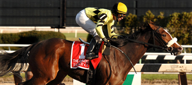 THOROUGHBRED RACING PHOTOS BY EQUINE PHOTO-ART 2010 PAGE