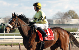 THOROUGHBRED RACING PHOTOS BY EQUINE PHOTO-ART 2010 PAGE