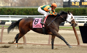 THOROUGHBRED RACING GREATS 2010 BY EQUINE PHOTO-ART