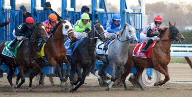 THOROUGHBRED RACING PHOTOS BY EQUINE PHOTO-ART 2012