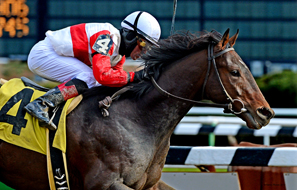 THOROUGHBRED RACING PHOTOS BY EQUINE PHOTO-ART 2012