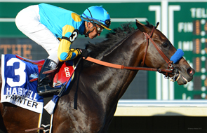 THOROUGHBRED RACING PHOTOS BY EQUINE PHOTO-ART 2012