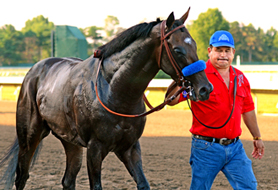 THOROUGHBRED RACING PHOTOS BY EQUINE PHOTO-ART 2012