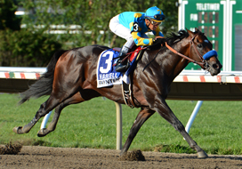 THOROUGHBRED RACING PHOTOS BY EQUINE PHOTO-ART 2012