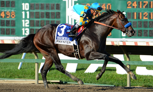 THOROUGHBRED RACING PHOTOS BY EQUINE PHOTO-ART 2012