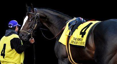 THOROUGHBRED RACING PHOTOS BY EQUINE PHOTO-ART 2013 PAGE