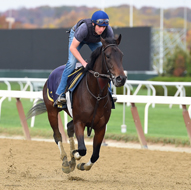 THOROUGHBRED RACING PHOTOS BY EQUINE PHOTO-ART 2015 PAGE