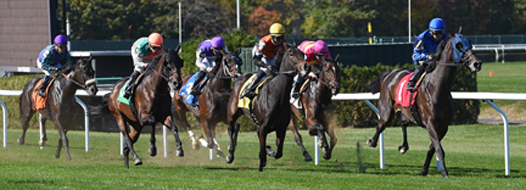 THOROUGHBRED RACING PHOTOS BY EQUINE PHOTO-ART 2015 PAGE