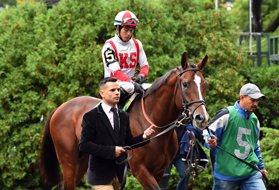 THOROUGHBRED RACING PHOTOS BY EQUINE PHOTO-ART 2015 PAGE
