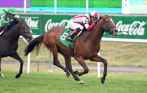 THOROUGHBRED RACING PHOTOS BY EQUINE PHOTO-ART 2015 PAGE