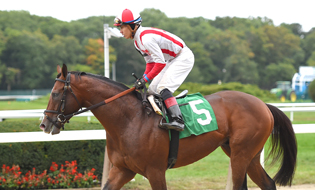 THOROUGHBRED RACING PHOTOS BY EQUINE PHOTO-ART 2015 PAGE