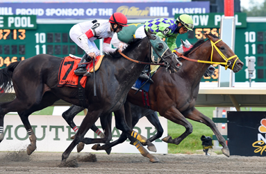 THOROUGHBRED RACING PHOTOS BY EQUINE PHOTO-ART 2015 PAGE