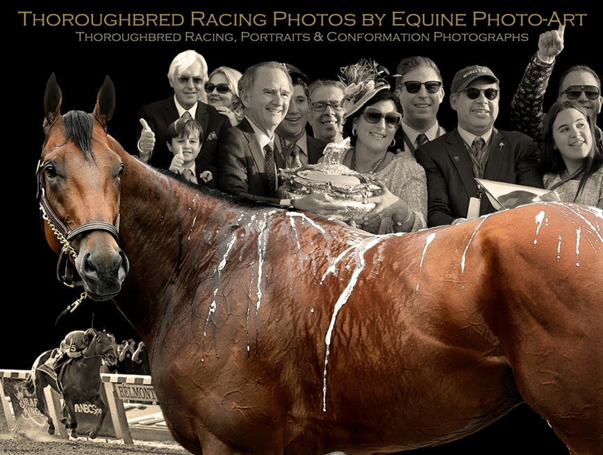 THOROUGHBRED RACING PHOTOS BY EQUINE PHOTO-ART