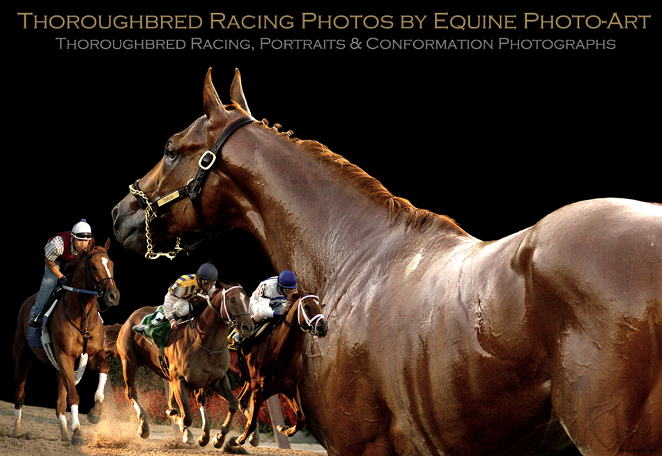 THOROUGHBRED RACING PHOTOS BY EQUINE PHOTO-ART 2007 PAGE