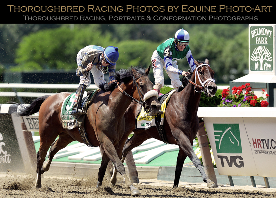 THOROUGHBRED RACING GREATS 2009 BY EQUINE PHOTO-ART