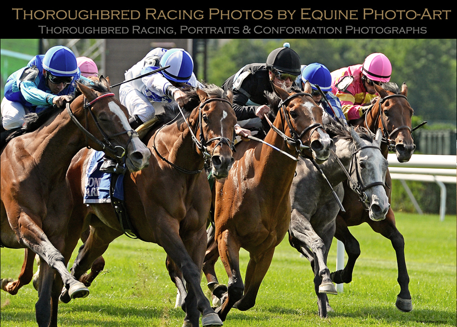 THOROUGHBRED RACING PHOTOS BY EQUINE PHOTO-ART 2012