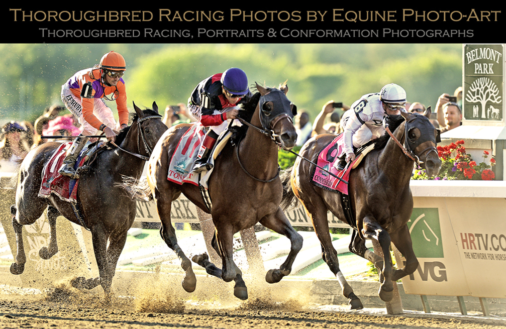 THOROUGHBRED RACING PHOTOS BY EQUINE PHOTO-ART 2014 PAGE