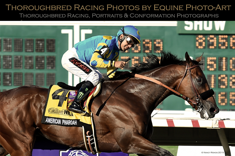 THOROUGHBRED RACING PHOTOS BY EQUINE PHOTO-ART 2015 PAGE