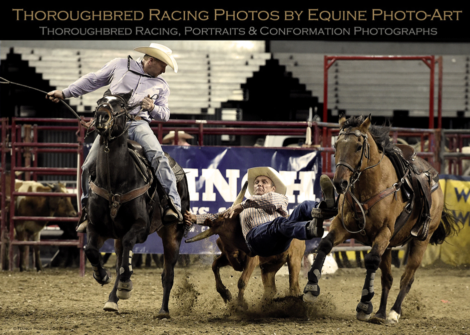 THOROUGHBRED RACING PHOTOS BY EQUINE PHOTO-ART AFR & PRCA RODEO ...