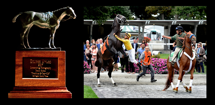 THOROUGHBRED RACING PHOTOS BY EQUINE PHOTO-ART 2012