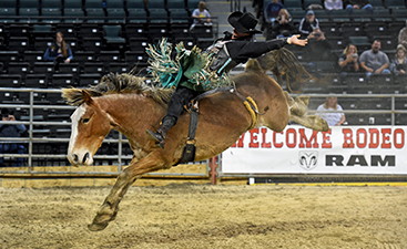 THOROUGHBRED RACING PHOTOS BY EQUINE PHOTO-ART AFR & PRCA RODEO ...