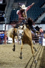 THOROUGHBRED RACING PHOTOS BY EQUINE PHOTO-ART AFR & PRCA RODEO ...