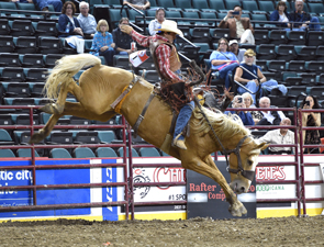 THOROUGHBRED RACING PHOTOS BY EQUINE PHOTO-ART AFR & PRCA RODEO ...
